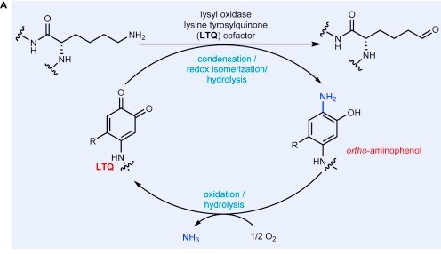 Publications in 2017 – Luo Group