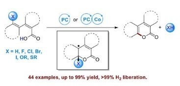 Publications in 2018 – Luo Group