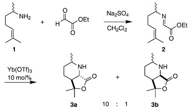 Publications in 2002 – 2005 – Luo Group