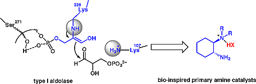 Publications in 2012 – Luo Group