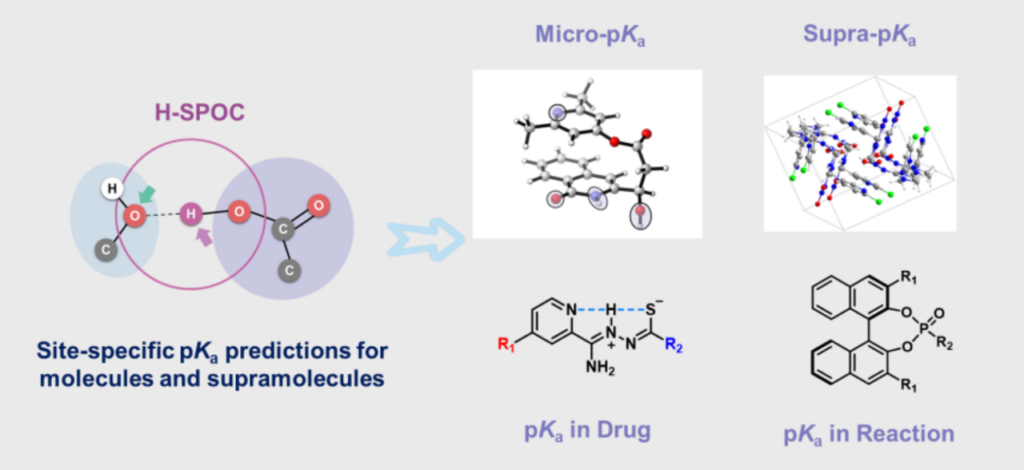 Publications in 2025 – Luo Group