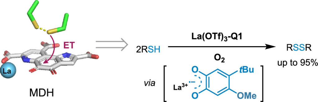 Publications in 2025 – Luo Group